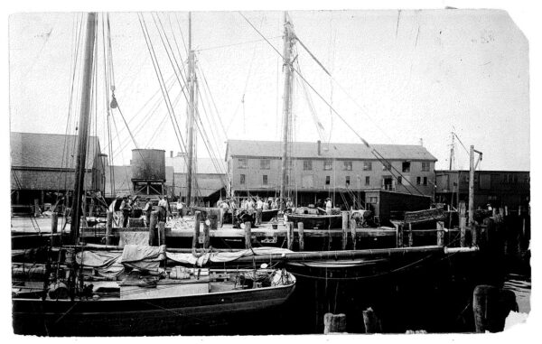 The Story of Our Frozen Seafood Business | Gorton's Seafood